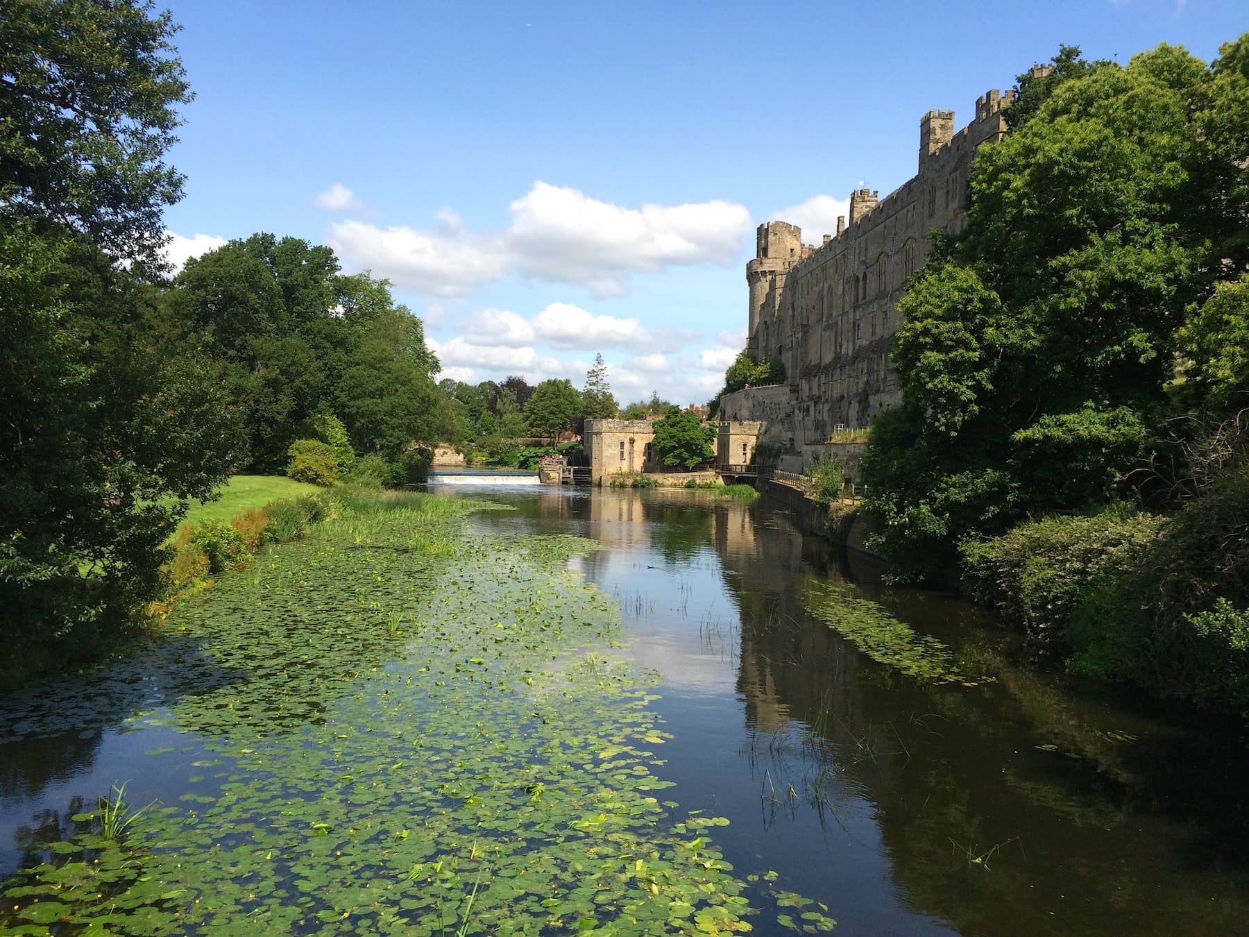Cambridge Summer Courses 2026 - Reach Cambridge