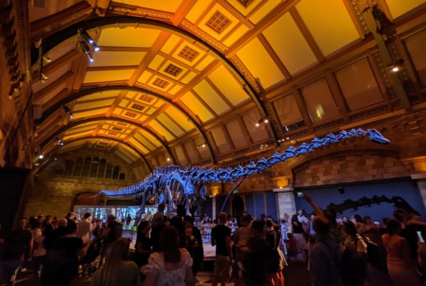 Cambridge Summer Courses 2022 - Reach Cambridge